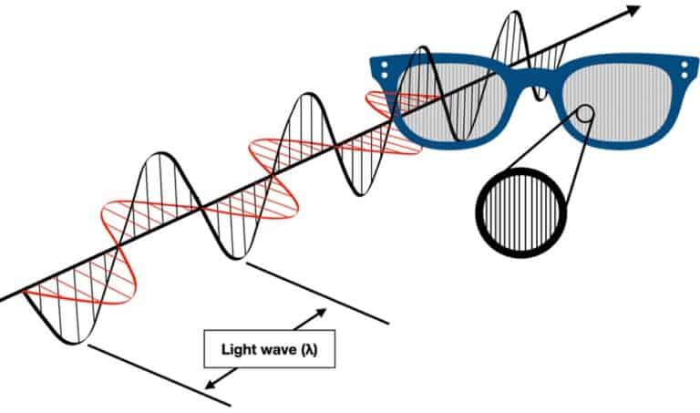 How Do Polarized Sunglasses Work?